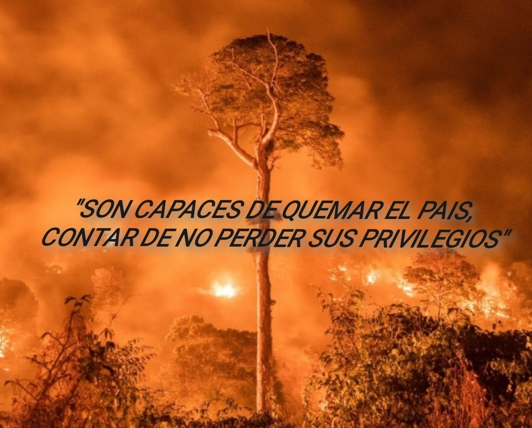 🌳🇨🇱🌳kaco 38% on Twitter: 🌳🇨🇱🌳kaco 38% on Twitter: