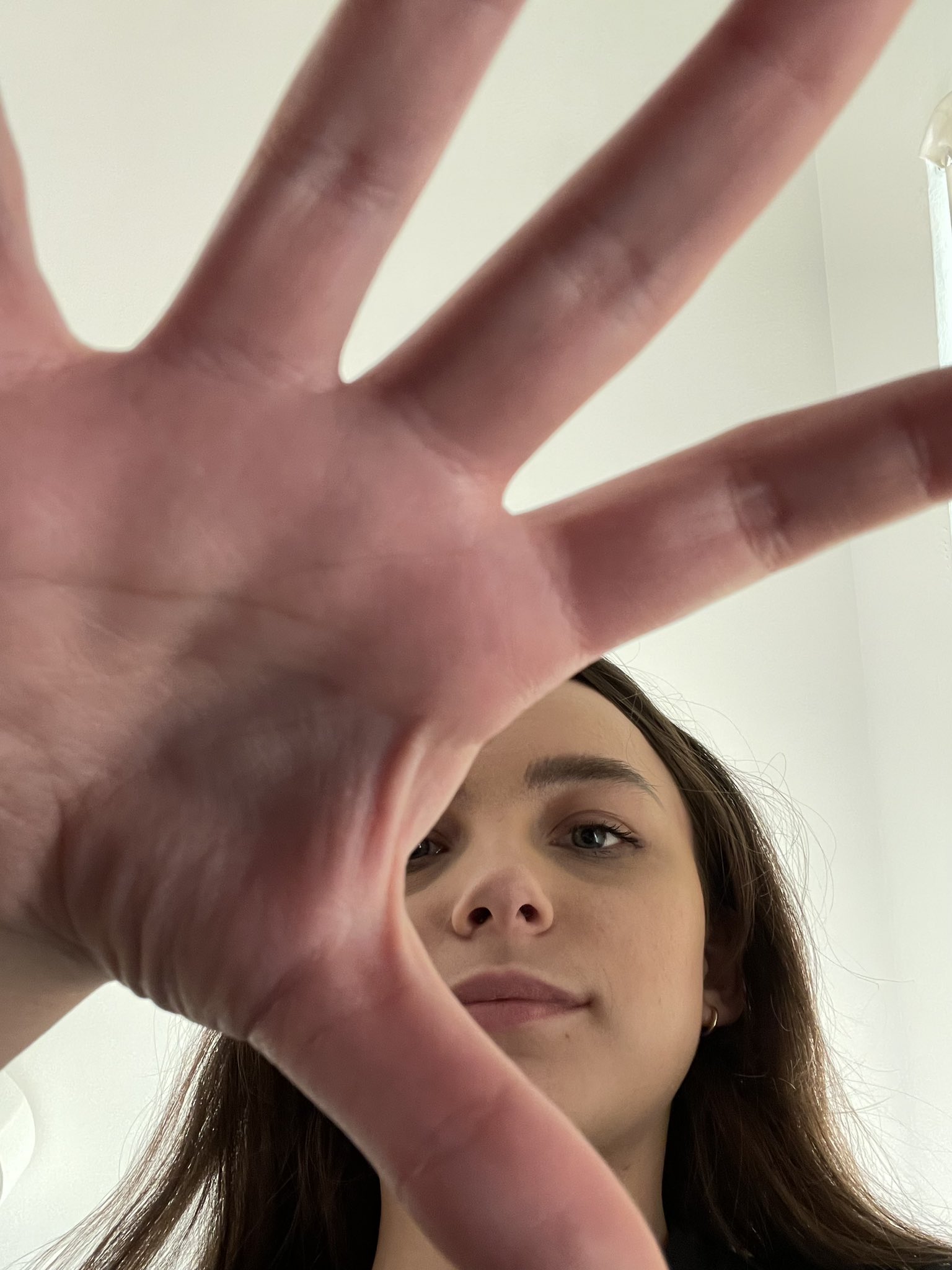 jakey on Twitter: "@heybillierae @freegoblinpics what I see from my enclosure https://t.co ...