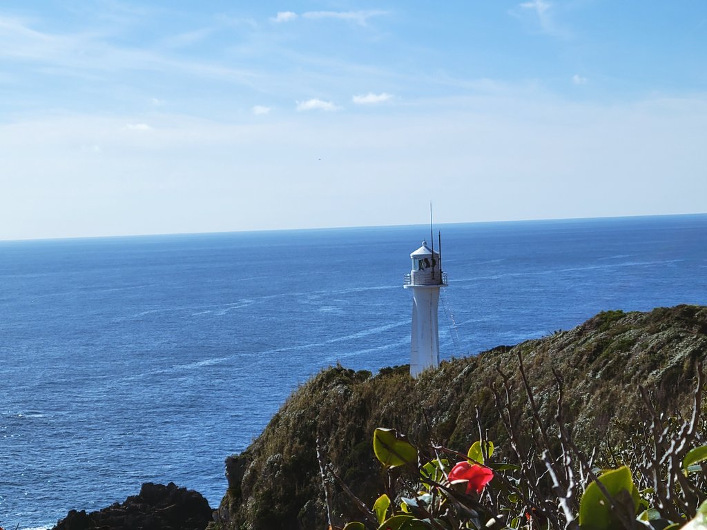 takeuchi_sds on Twitter: "RT @takeuchi_sds: アメブロを投稿しました。 『2/5(日)足摺椿まつり「シミズダンススタジオ」』 https ...