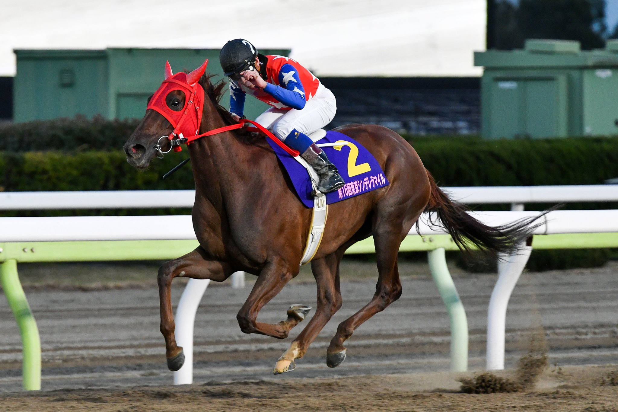 地方競馬全国協会(NAR)公式 on Twitter: "2月19日(日)にJRA東京競馬場で行われるフェブラリーステークス(GI･左1600m)の登録馬がJRAより発表されました。地方競馬 ...