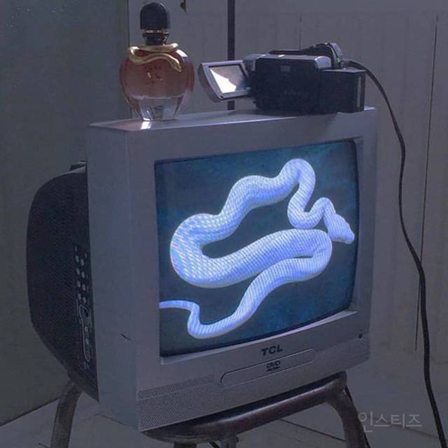 인스티즈(instiz) on Twitter: "요즘 다시 유행하는 레트로 캠코더.jpgif (링크에 더있어요👉) https://instiz.net/pt/7320312"