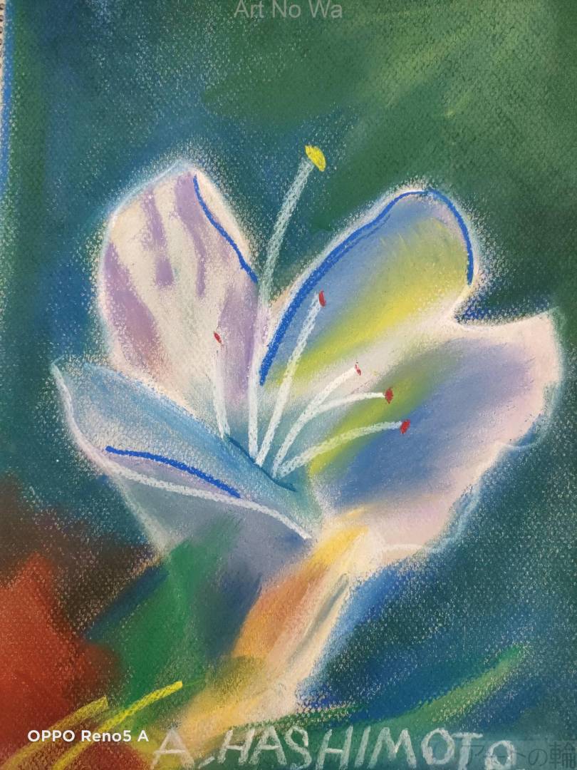 障がい者アート協会 on Twitter: "花をパステルで描きました。 https://borderlessart.or.jp https://artnowa.org #障害者 #障がい者 ...