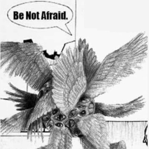 Wonder of Science on Twitter: "An underwater encounter with the strange but beautiful feather ...