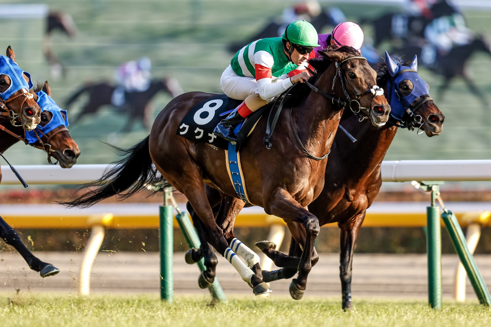 netkeiba on Twitter: "【土曜東京11R 早春S(4歳上3勝)】 #ククナ #クリストフ・ルメール 父キングカメハメハ 母クルミナルは桜花賞2着 半弟アライバルは昨年の ...