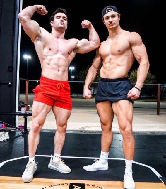 Alphayoungfighter 👊🏻21k On Twitter A New Series Of Alpha Str8 Bros
