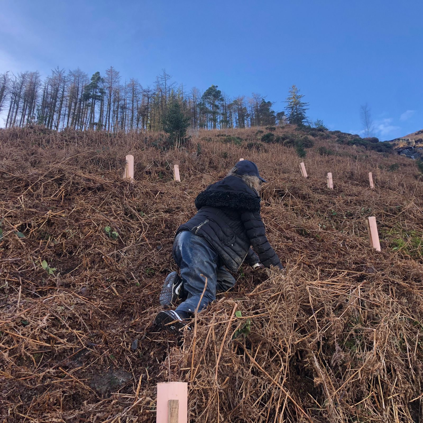 TW Pornstars - Debee Ashby. Twitter. Back to tree planting 🤣 jeez it ...