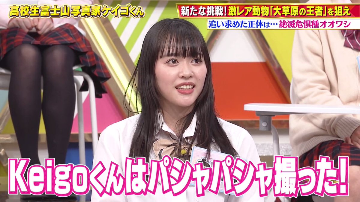 Willfukei🌸🍓🦍🍑🍊🐹🦊🌸 on Twitter: "KANO is too energetic and cheerful for the calm Keigo-kun but ...