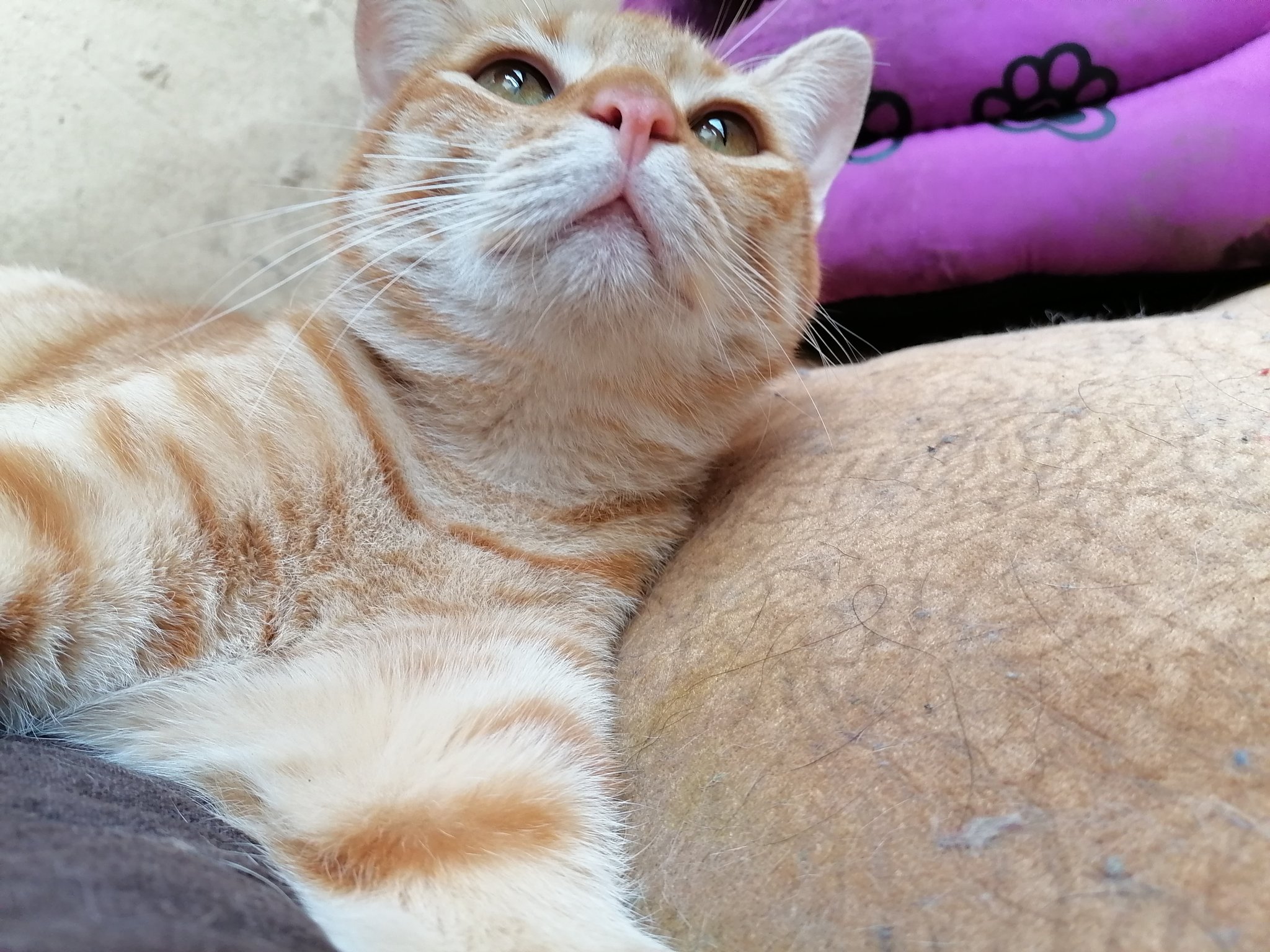 Nas O⁠_⁠o || COMISIONES ABIERTAS || (@Nas_0_o) / Twitter