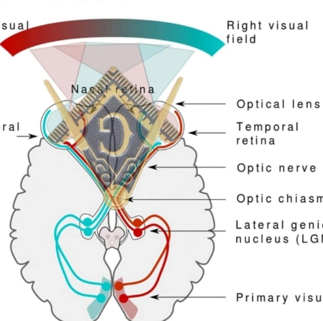 "EYE Am What EYE Am" (🧵) "The light of the body is the eye: if ...
