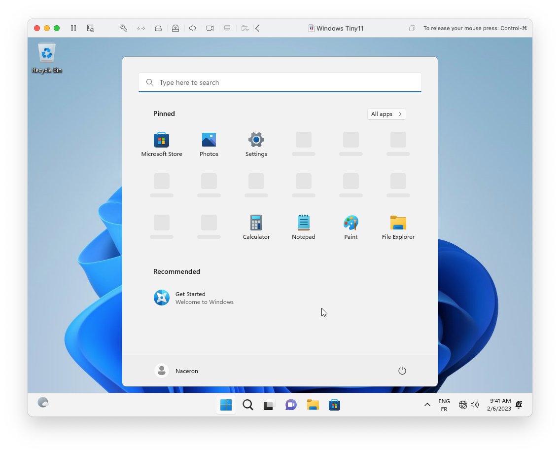 Tiny11 A Game Changer In Lightweight Windows 11 Syste - vrogue.co