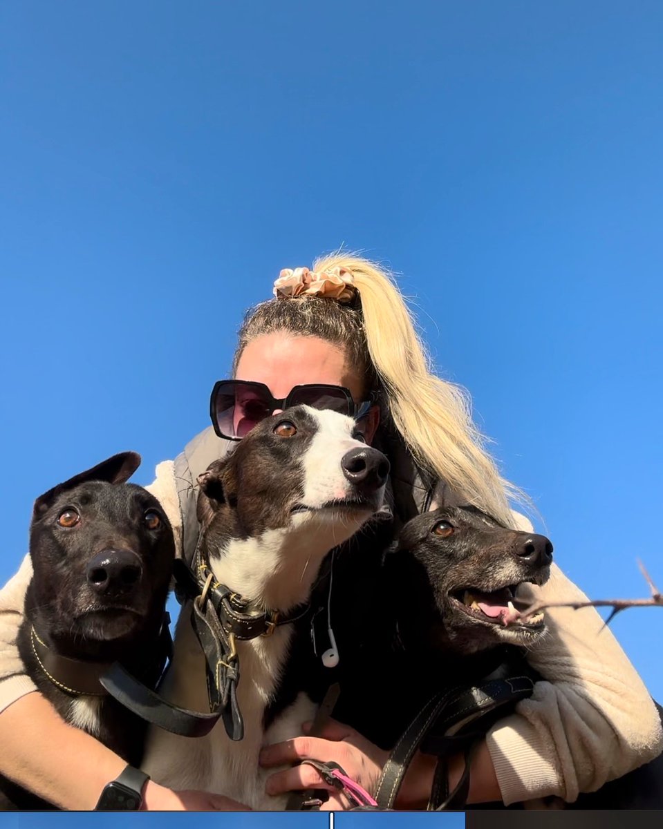 Rosie Tungatt on Twitter: Rosie Tungatt on Twitter: