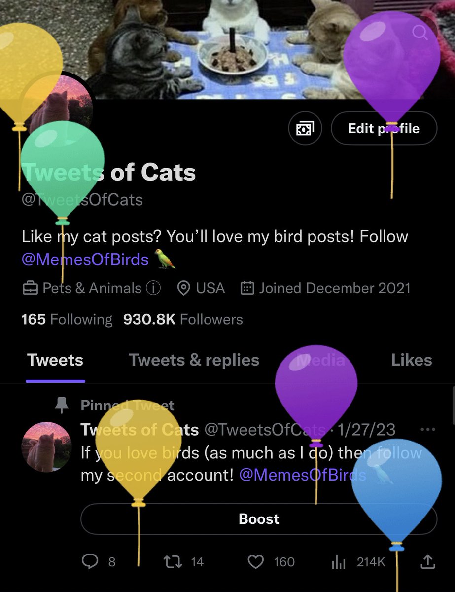 🎆🎉May 2023 Be Better Than 2022🙏🏻🤞🏻 on Twitter: "RT @TweetsOfCats: hell yeah! party time"