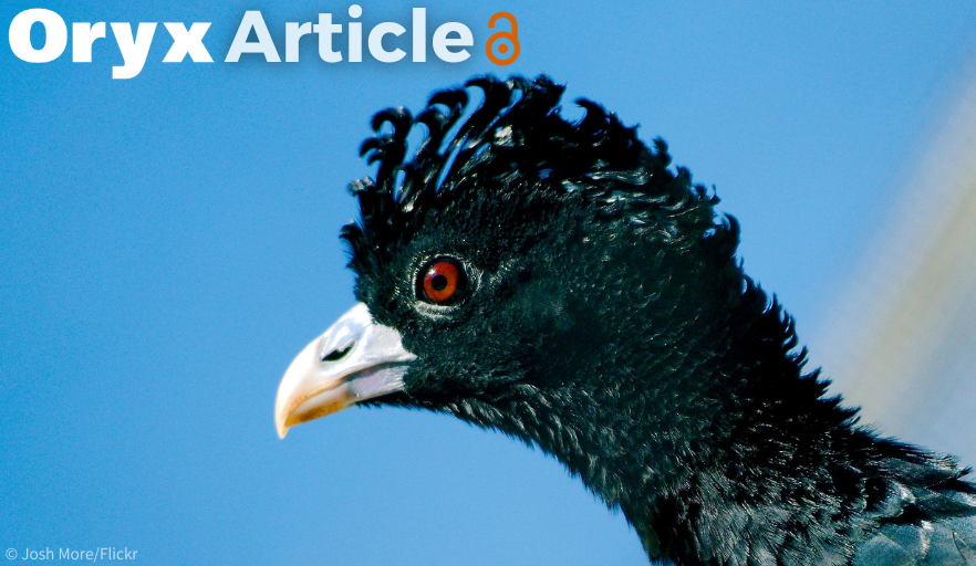 WCS Colombia on Twitter: "RT @OryxTheJournal: Out today!🪶 Valencia et al. conducted a population ...