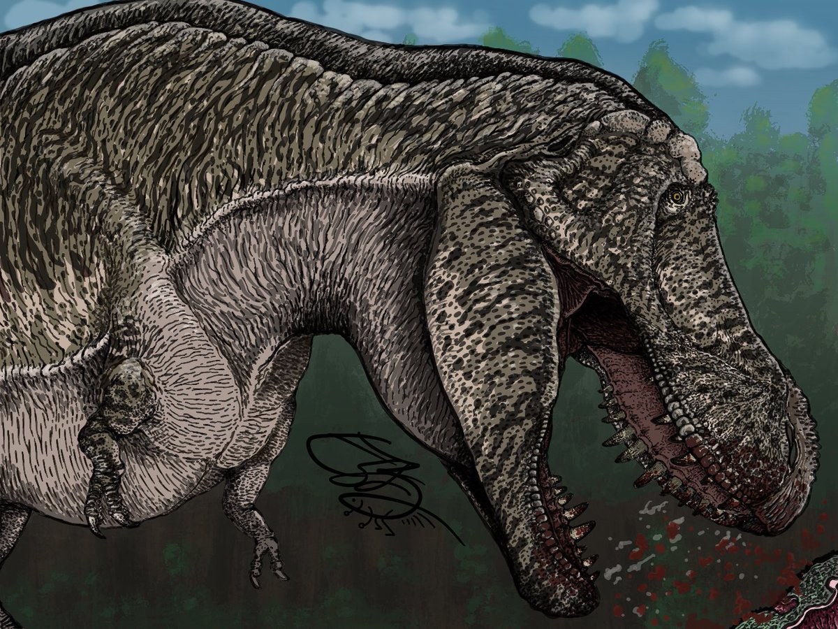 Justice Lamer on Twitter: "RT @mochio_designs: 完成しました‼︎完成にさせてください‼︎笑 また気になった場所があれば加筆していきます お付き合い ...