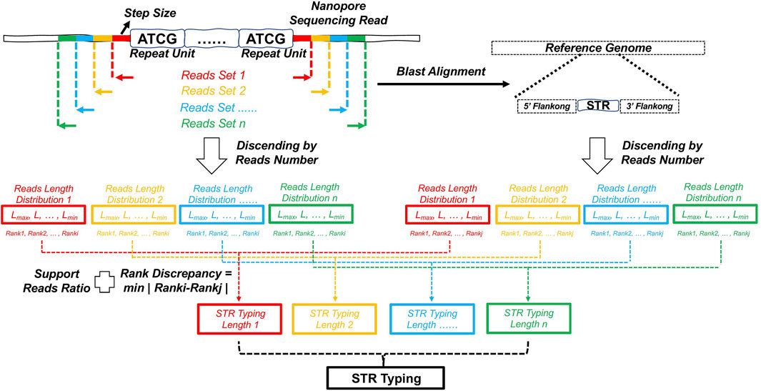 antisense. on Twitter: "NanoSTR: A method for detection of target short tandem repeats based on ...