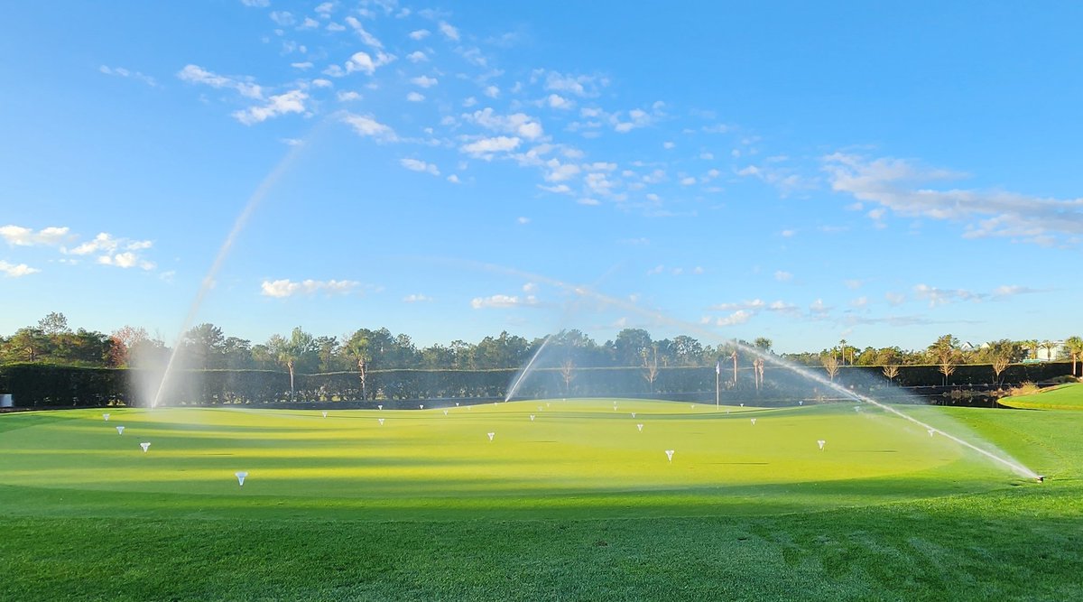 POGO – POGO Turf Pro