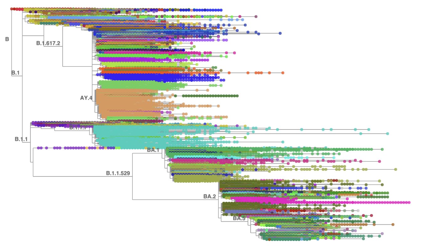 Russ Corbett on Twitter: "Pango lineages (e.g., B.1.1.7 “alpha”) are the lingua franca of ...