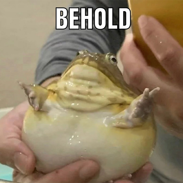 Mr. Meat Scraps on Twitter: