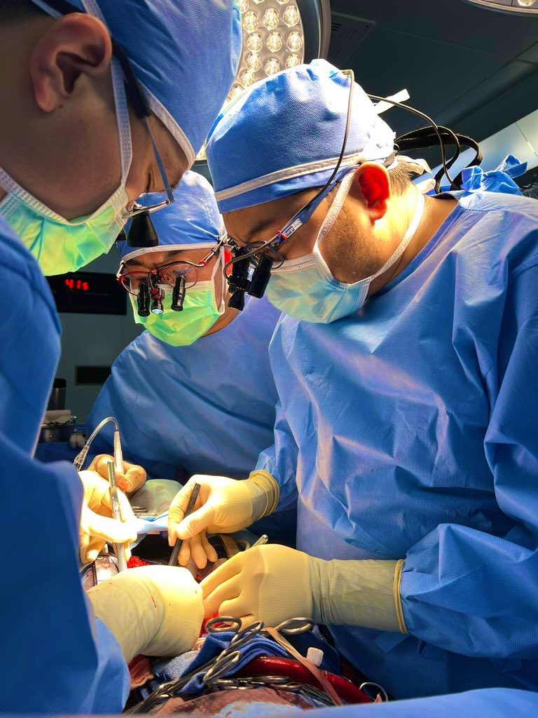 Хашчулуун Phd 👨‍⚕️🇲🇳🇰🇷 🇯🇵 🇷🇺🇸🇬🇮🇳 On Twitter Өглөөний мэнд~ 😇🙏 Өнөөдөр бөмблөгтэй өдөр~😁 Энэ