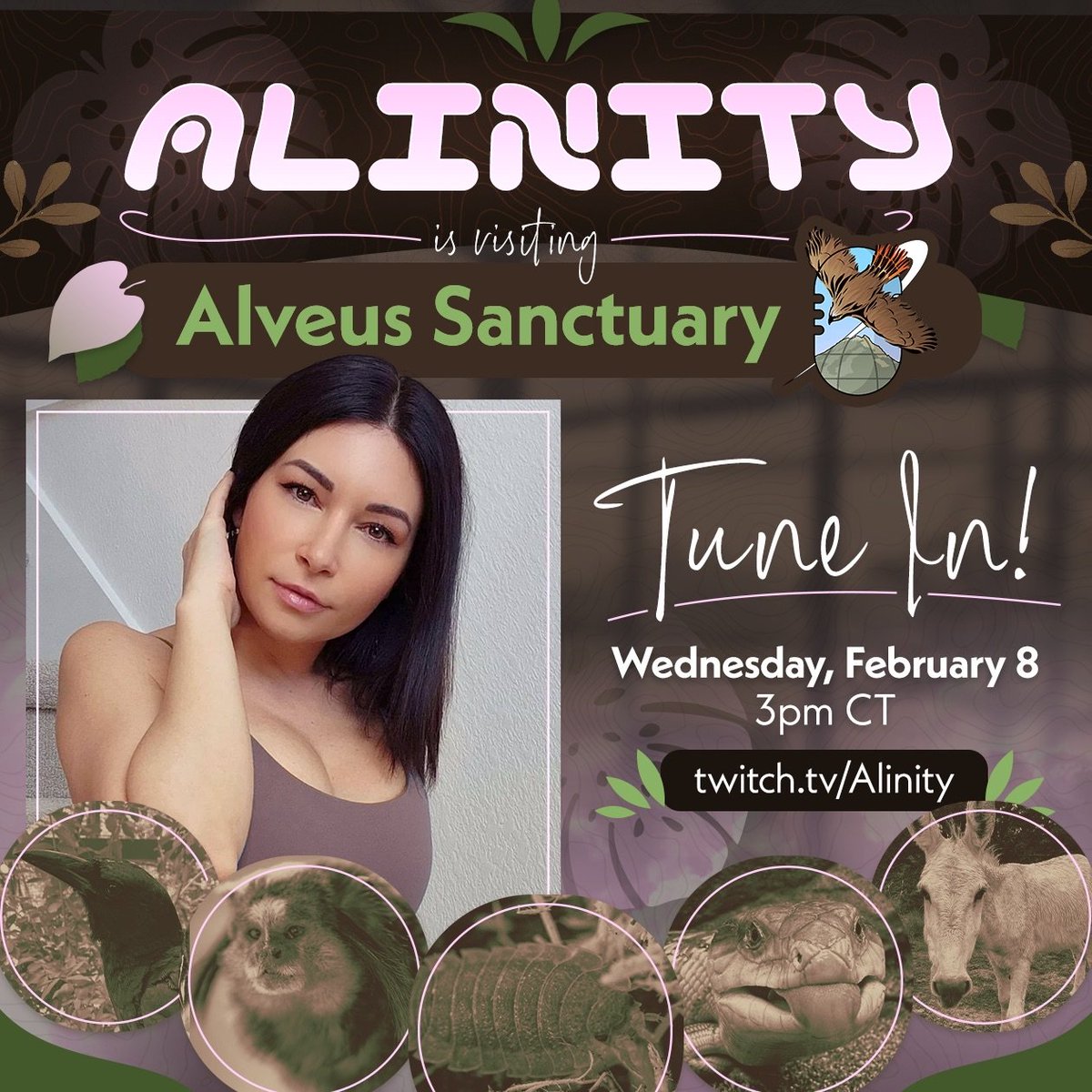 Alveus Sanctuary on Twitter: "🚨 This is NOT A DRILL 💚 Alinity 💚 will be visiting Alveus, watch ...