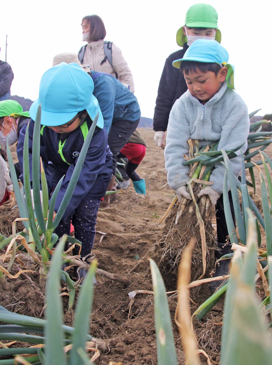 磐田市広報担当(@iwata_koho) - Twilog