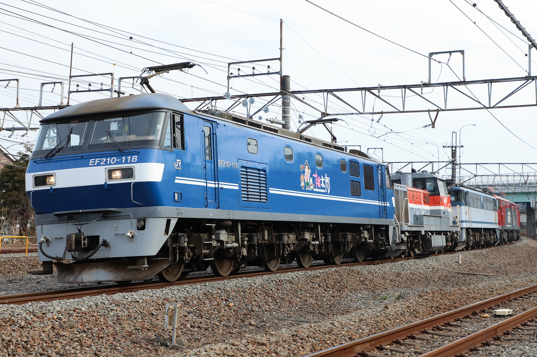 どーなつ on Twitter: "2023.02.07 単8283レ OM入場 EF210-118+DE10-1666+EF65-2050+EH500-39 https://t.co ...