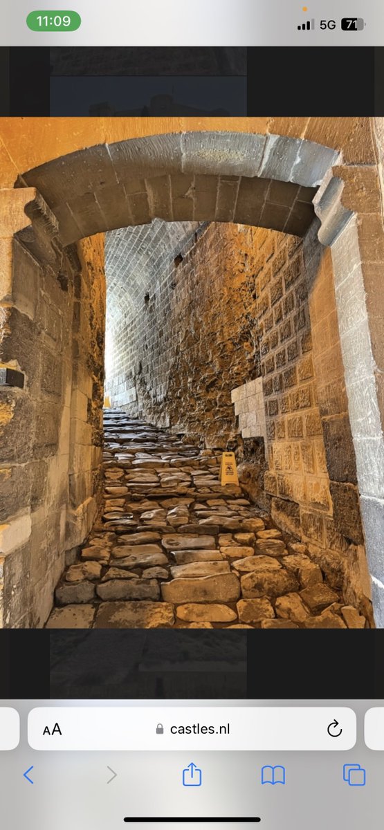 Thread by @Schandillia on Thread Reader App – Thread Reader App