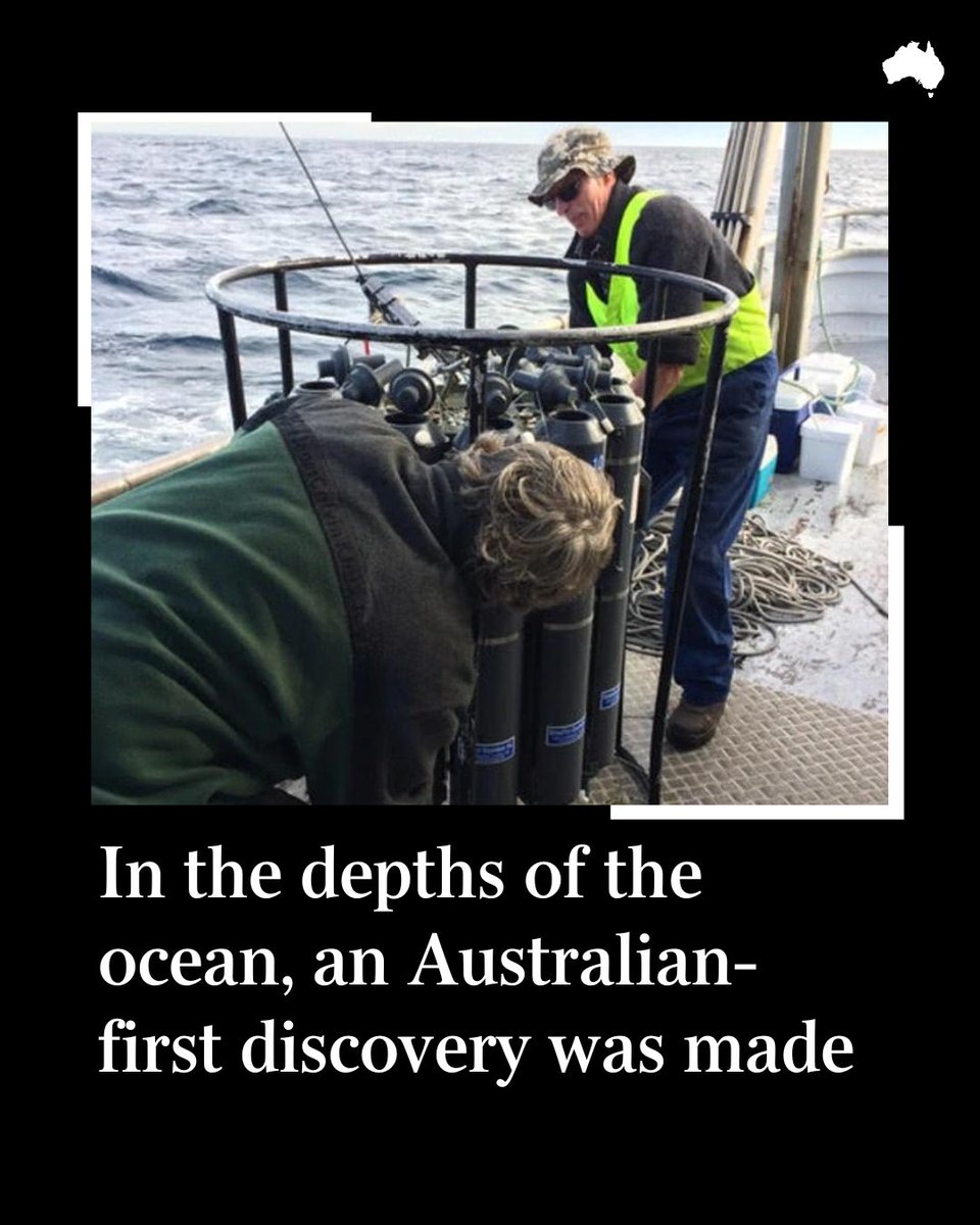 Existing 1000m deep into the water, Australian scientists made a world ...