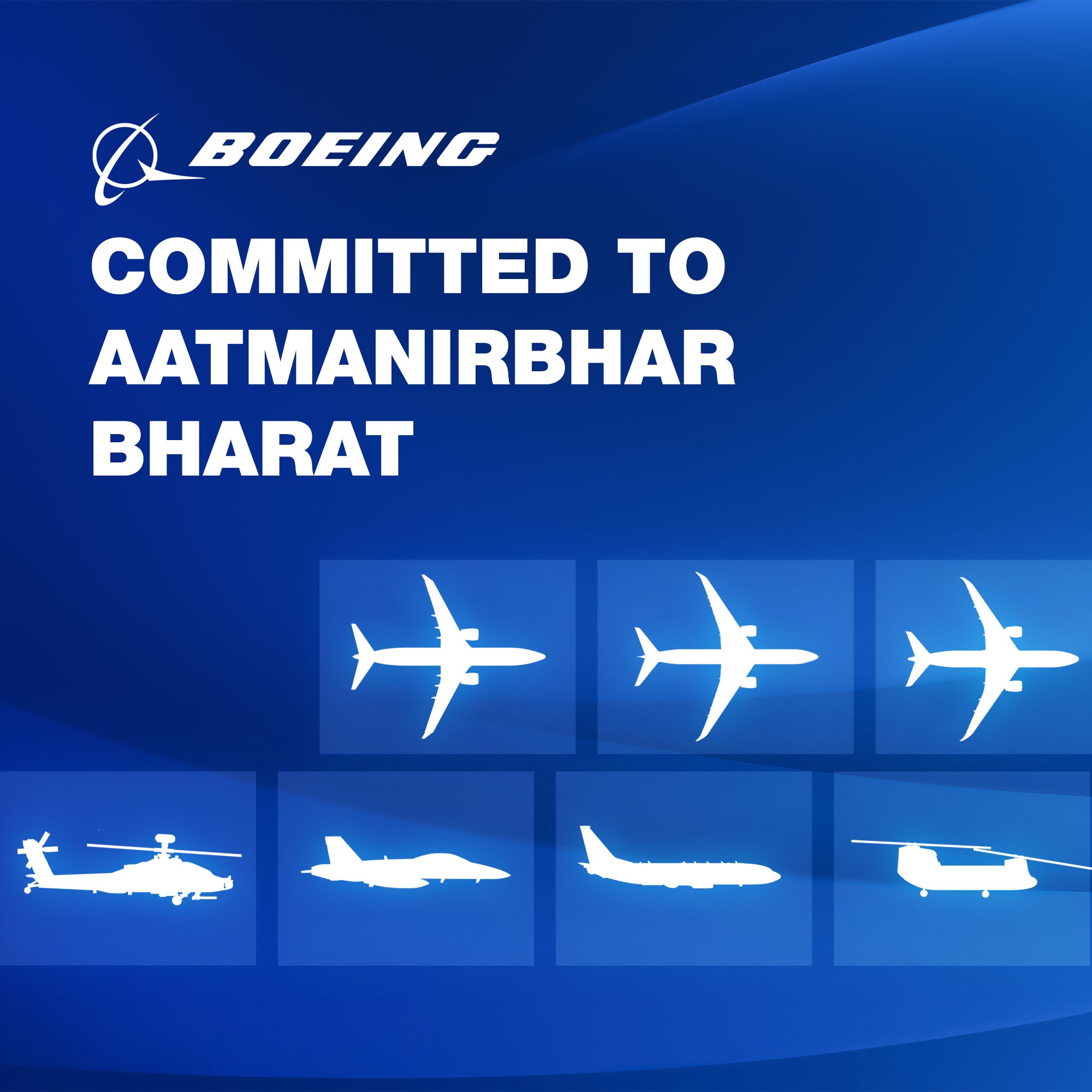 Aerodynamic Fin In Animals