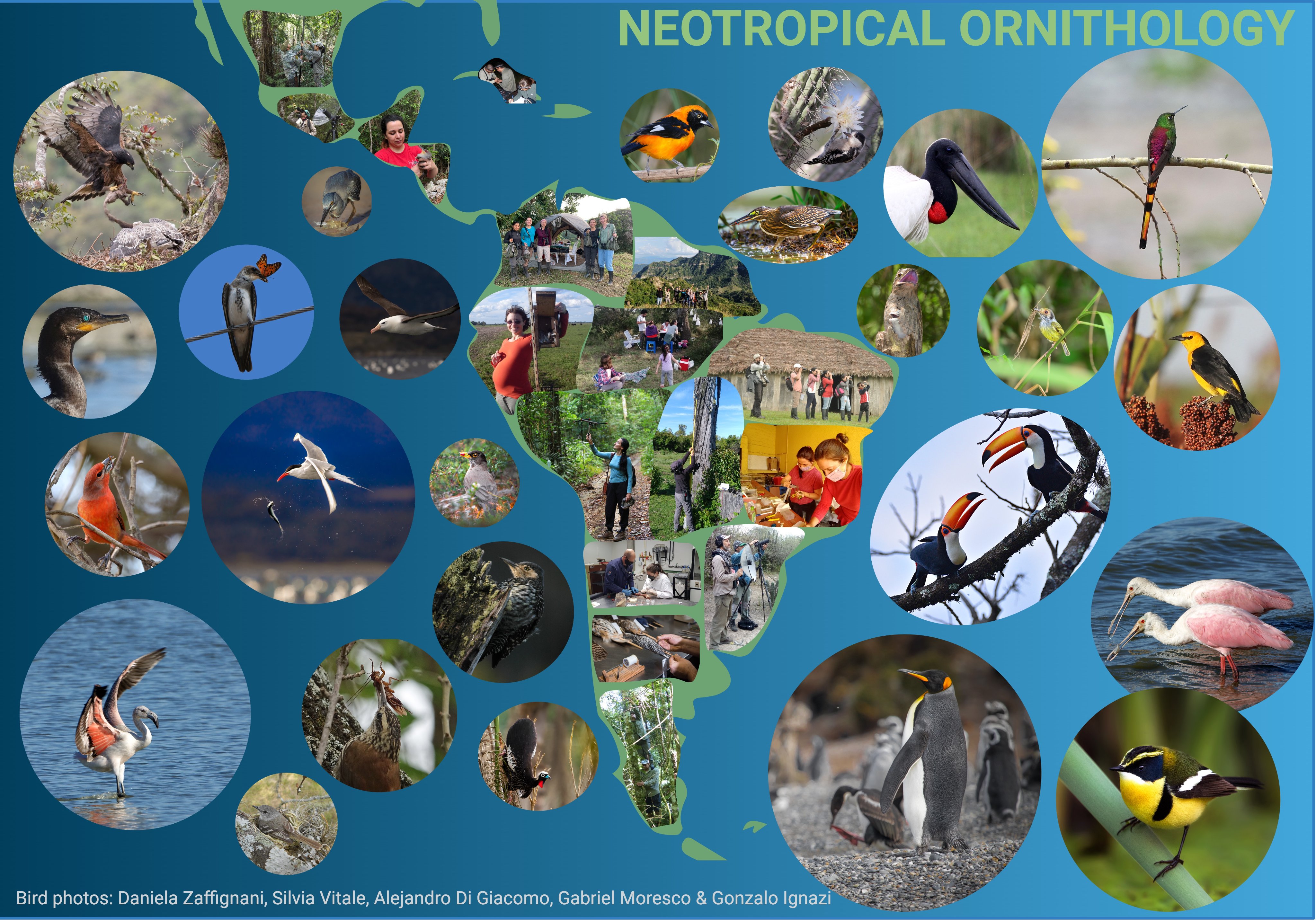 Fauna De Latinoamerica Colombia Adds Hundreds Of Species To List Of