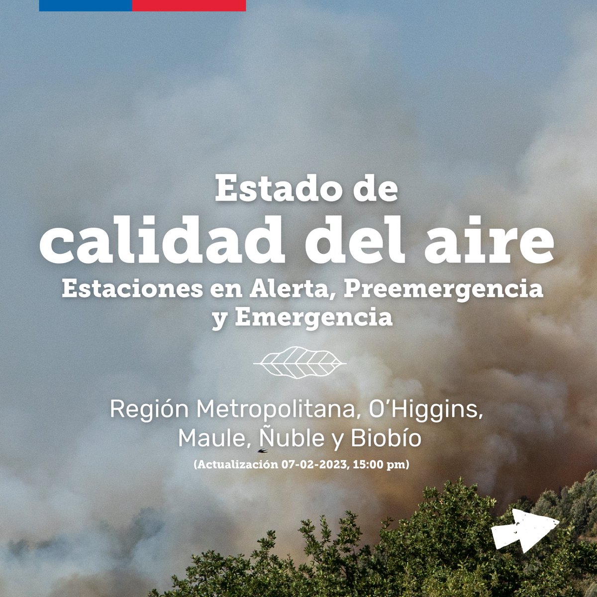 Ministerio Del Medio Ambiente On Twitter 🚨¡actualización Nuevo