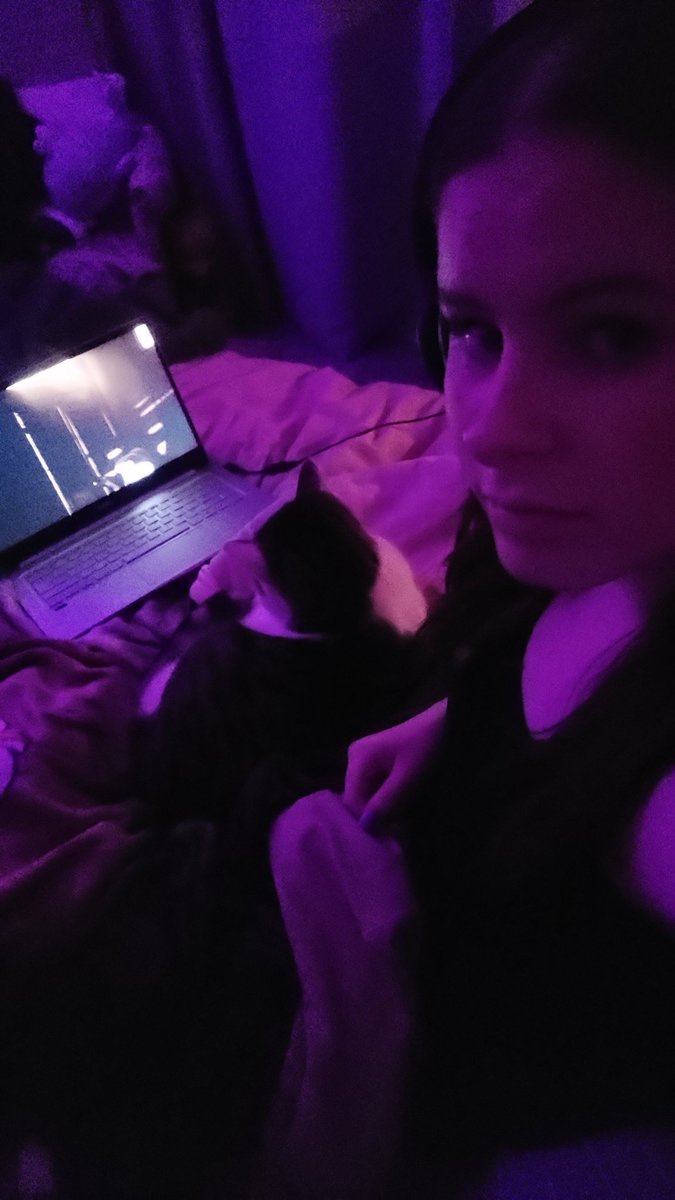 MY DAY MY DAY MY DAY on Twitter: "got noise cancelling headphones u will not be hearing from me ...