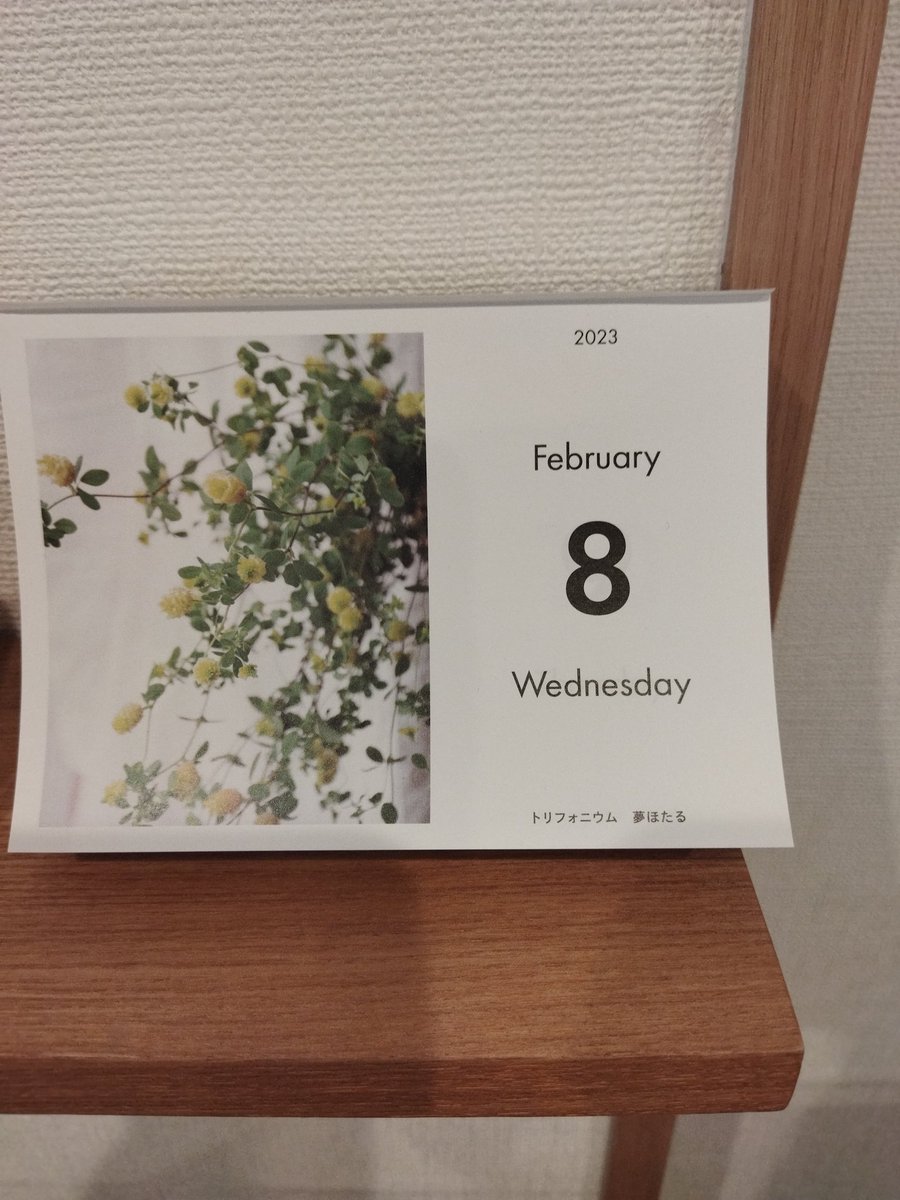 笛路（ふえじ） on Twitter: "ウヒョォォォォ！ セフィライズさまぁぁぁぁ！ ↓小説も最高であるっっっ https://ncode.syosetu.com/n8984fp/"