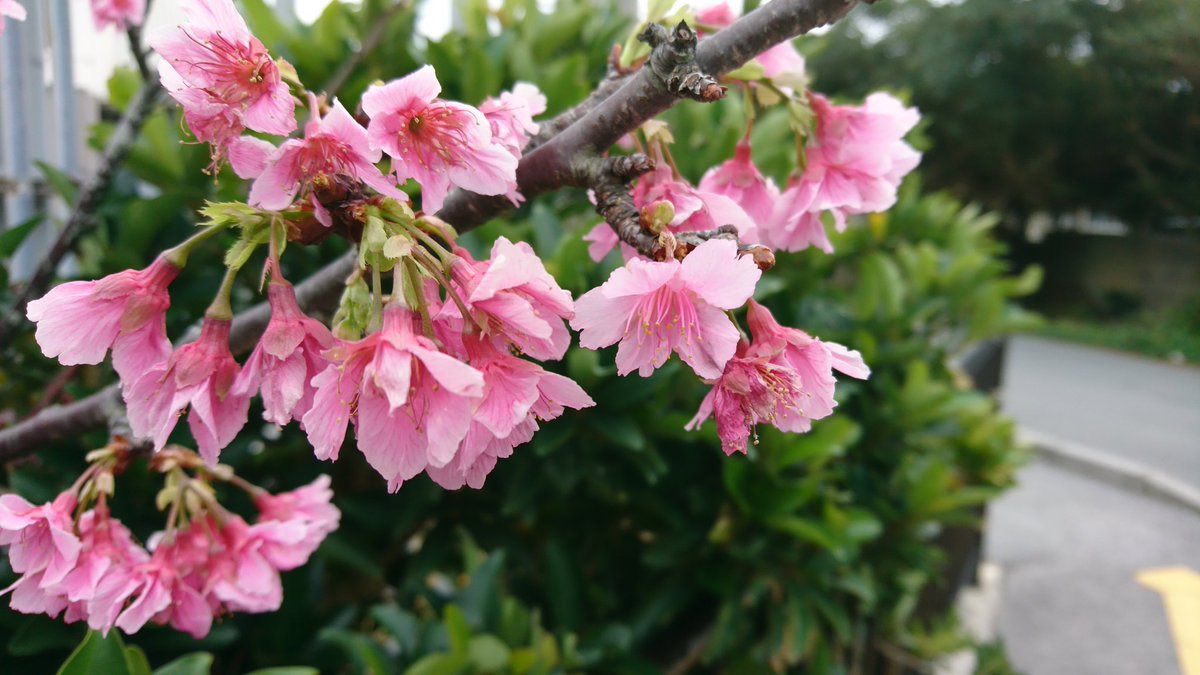 Jun & Ridge(@SystemJun) - Twilog