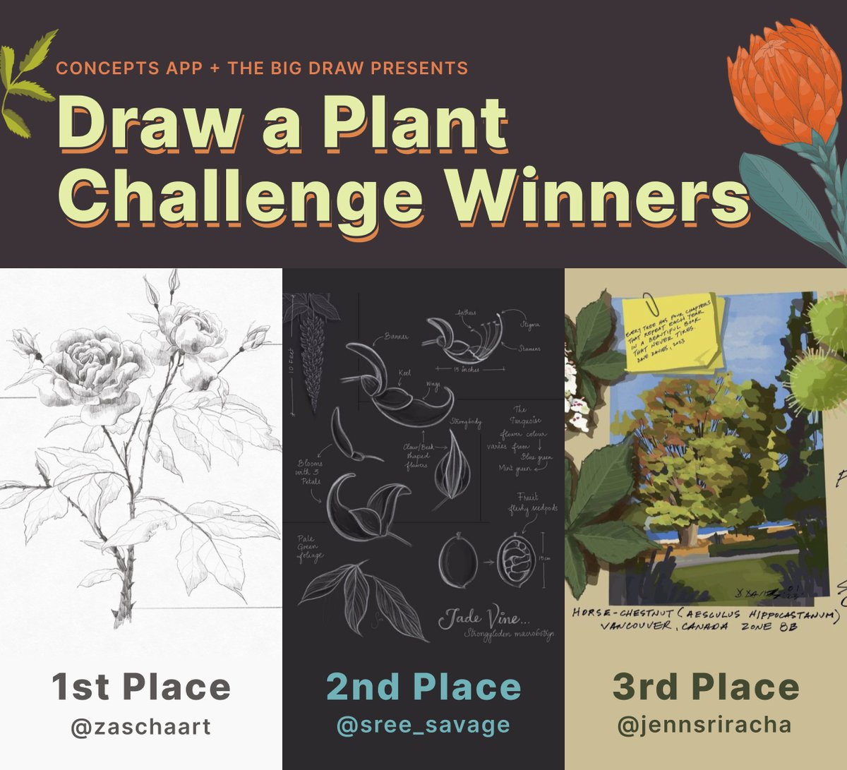 Concepts on Twitter: "We were overwhelmed by the incredible drawings ...