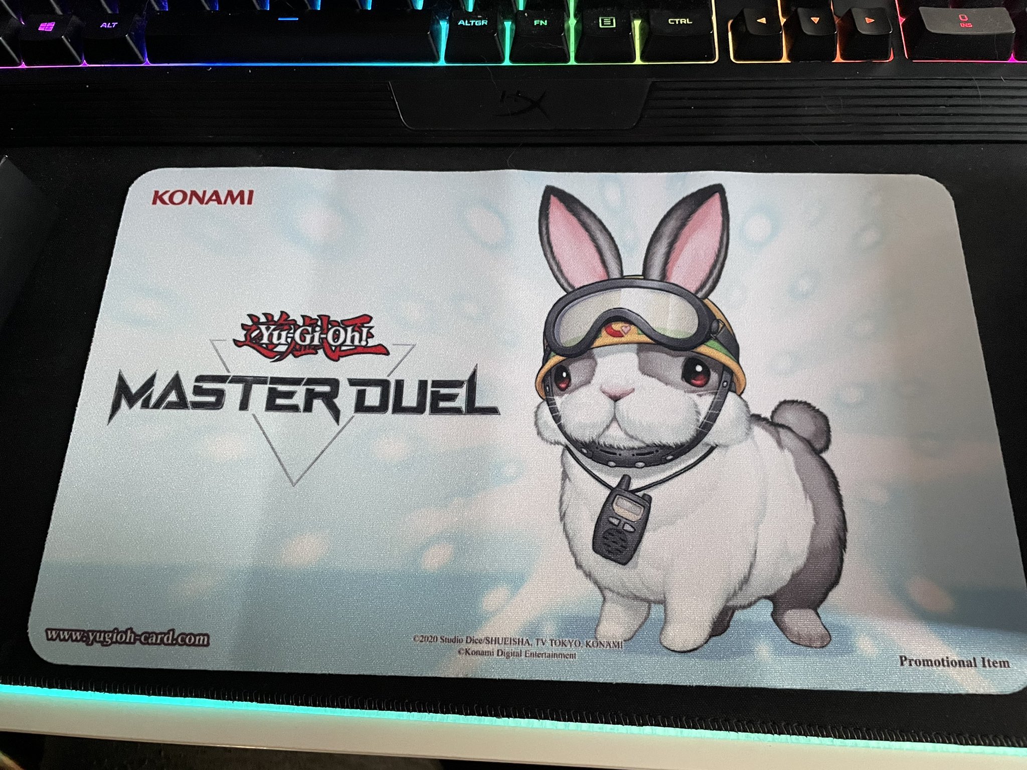 Rescue Rabbit Playmat
