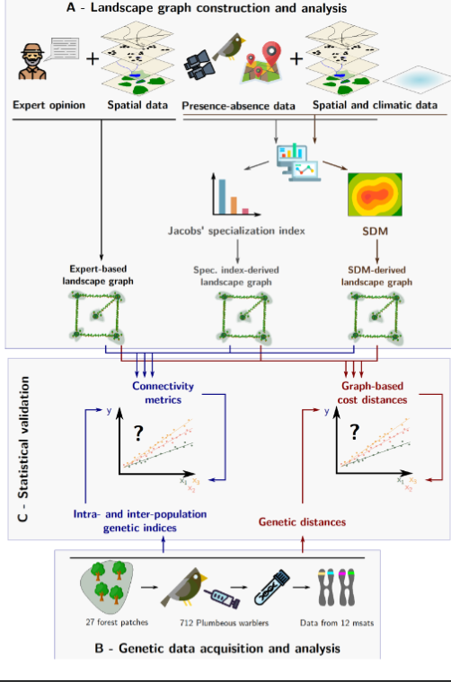 Conservation Biology on Twitter: "Daniel et al's research focuses on validating graph-based ...