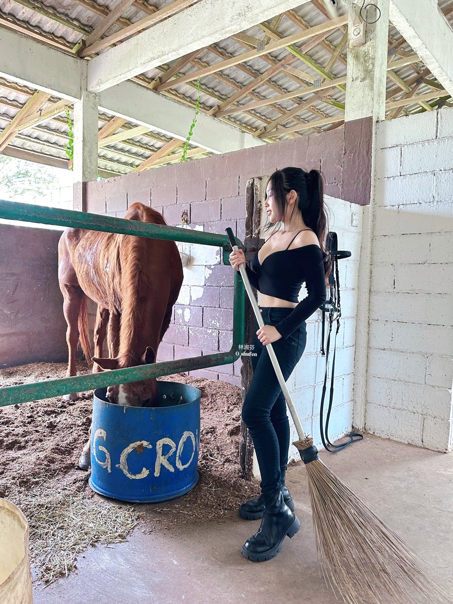 小隻馬與大隻馬 Lin Shu Fen @0_shufen