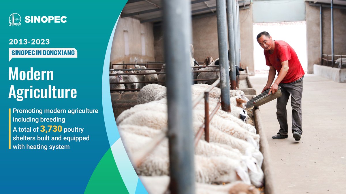 Sinopec on Twitter: "On February 8, Sinopec released 𝟣𝟢-𝘠𝘦𝘢𝘳 𝘊𝘰𝘳𝘱𝘰𝘳𝘢𝘵𝘦 𝘊𝘪𝘵𝘪𝘻𝘦𝘯𝘴𝘩𝘪𝘱 𝘙𝘦𝘱𝘰𝘳𝘵 (𝟤𝟢𝟣𝟥 ...