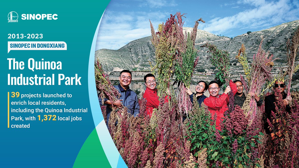 Sinopec on Twitter: "On February 8, Sinopec released 𝟣𝟢-𝘠𝘦𝘢𝘳 𝘊𝘰𝘳𝘱𝘰𝘳𝘢𝘵𝘦 𝘊𝘪𝘵𝘪𝘻𝘦𝘯𝘴𝘩𝘪𝘱 𝘙𝘦𝘱𝘰𝘳𝘵 (𝟤𝟢𝟣𝟥 ...