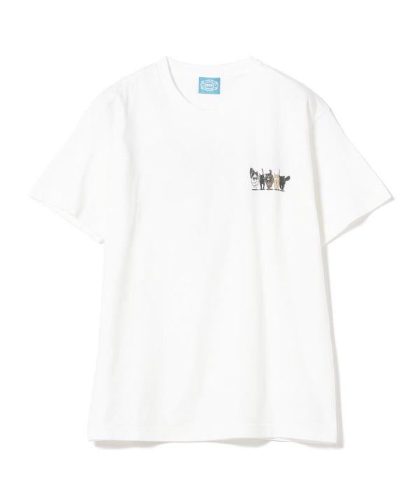 20周年の中川翔子🐈‍⬛🍉🍫 on Twitter: "mmts 猫行進Tシャツ わたしが描いた猫たち！おしりがかわいいよう！男女問わず装備できます！ https://t.co ...