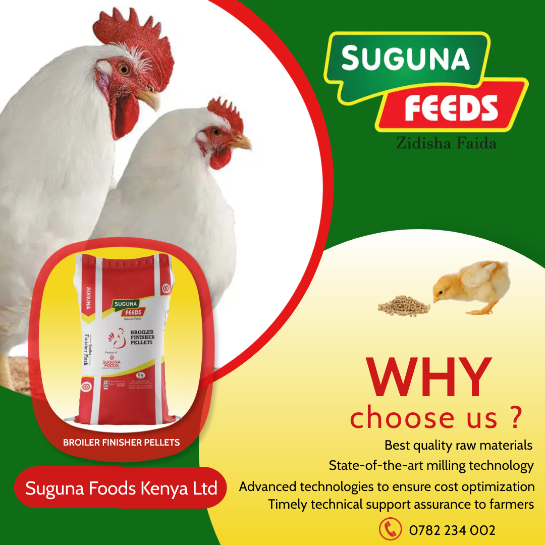 Suguna Chicken Corporate Office