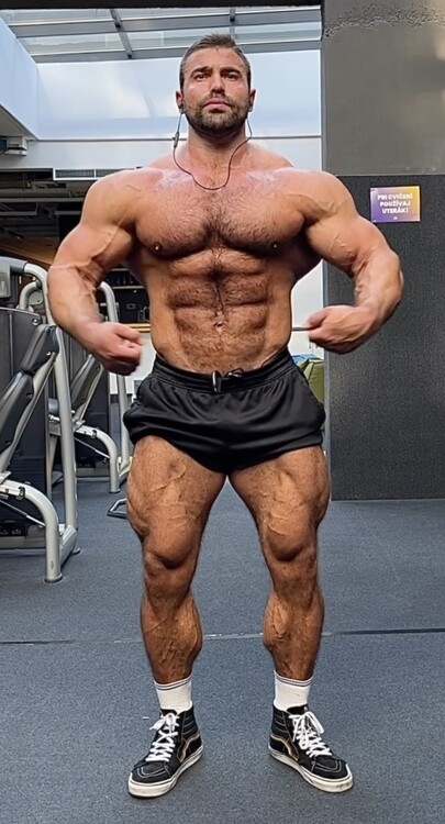 hairybearsmuscle on Twitter: "#musclebear #bodybuilder Please ID https://t.co/oD0VC4UMnX" / Twitter