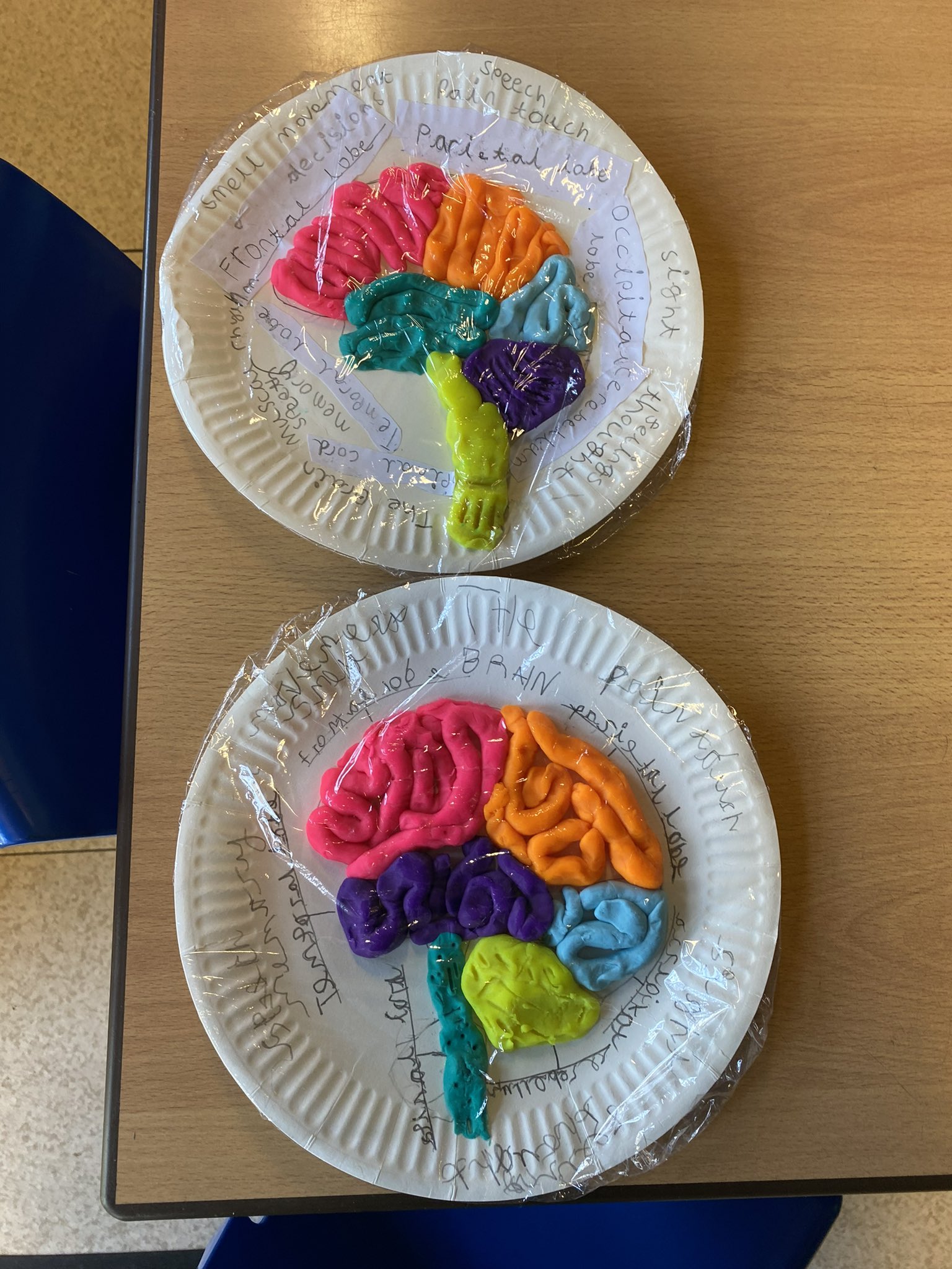 Year 1 PDCS on Twitter: "Alice and Evie have taken inspiration from our ...