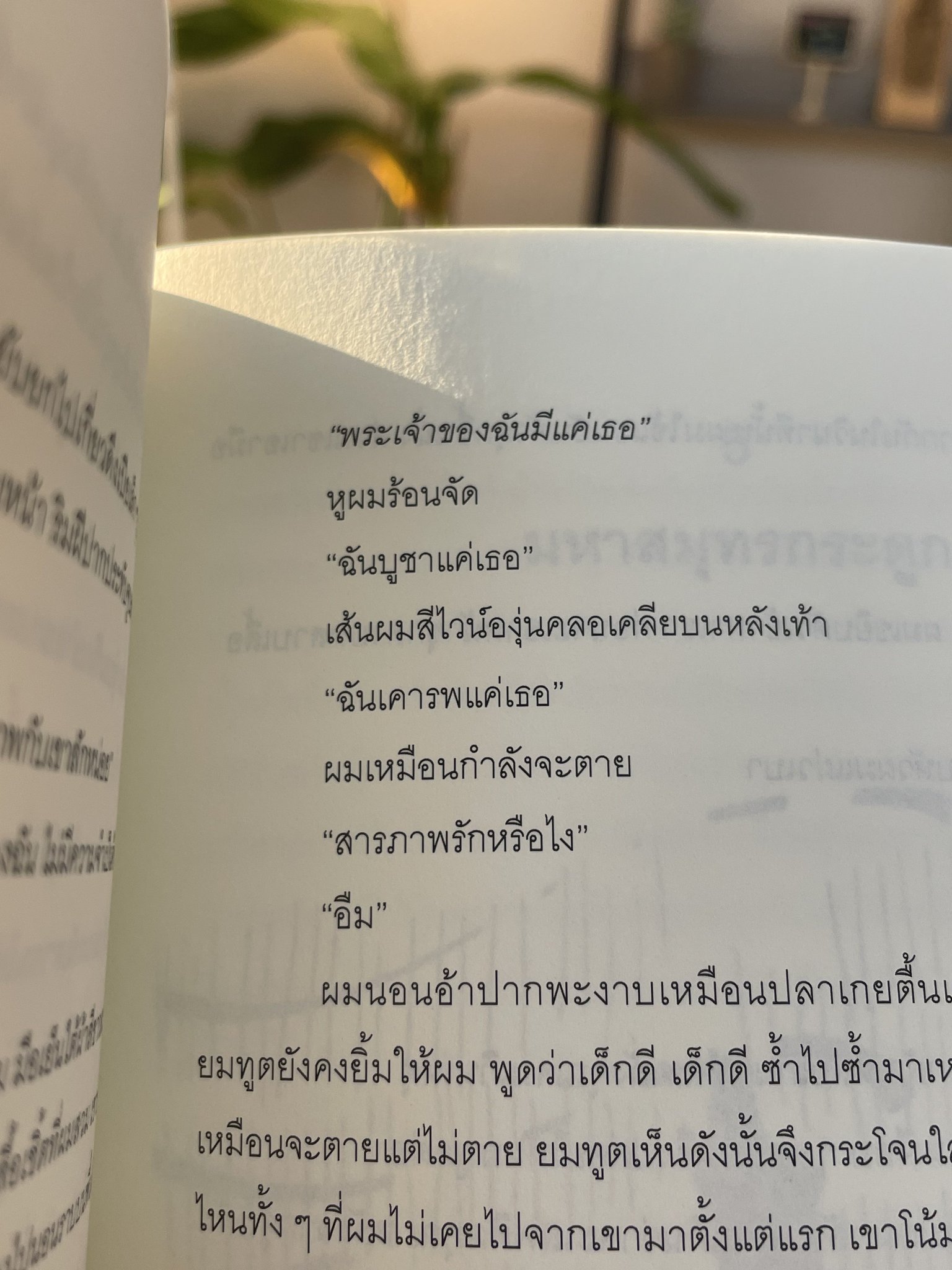 ร้านกลิ่นหนังสือ On Twitter “พระเจ้าของฉันมีแค่เธอ ฉันบูชาแค่เธอ ฉัน