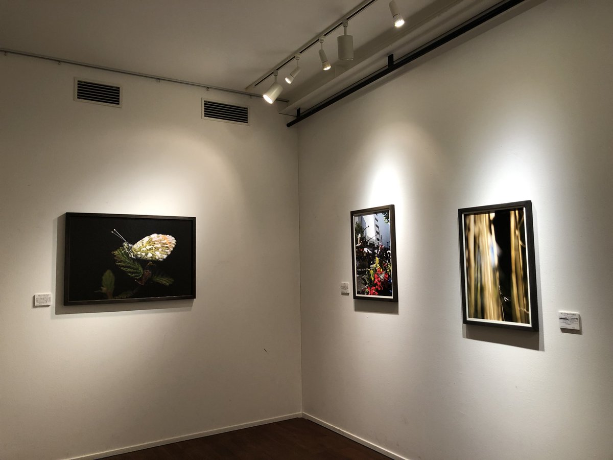 syakuga 🦋個展3/1-10 @安曇野(@Lotus_87s) - Twilog (ツイログ)