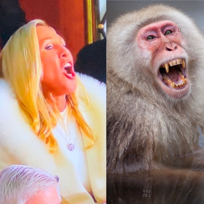 Daniel McDowell on Twitter: "@Kaylan_TX https://t.co/1bH9kxeJQX" / Twitter