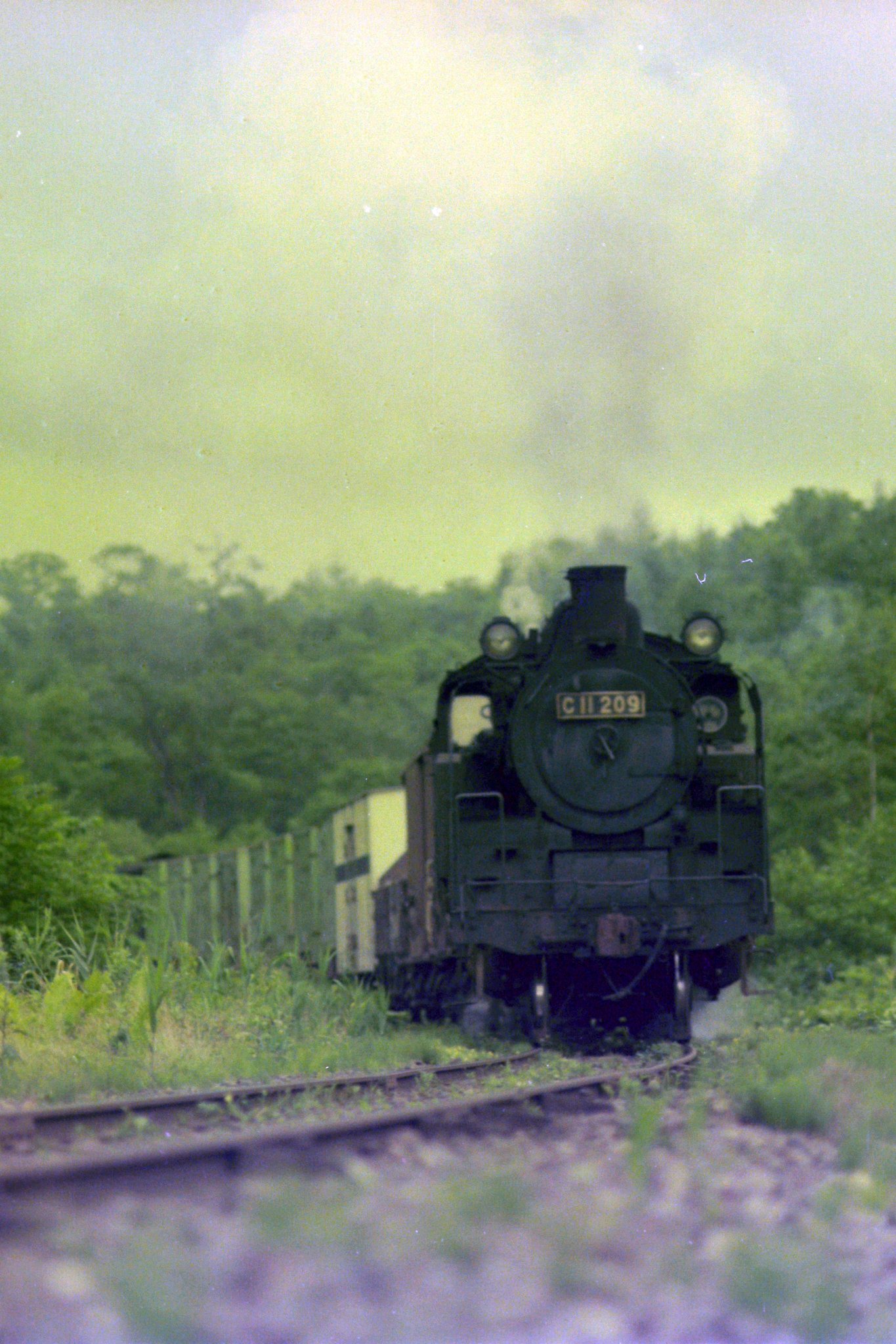 D511007 on Twitter: "日付ネタ。2月9日。C11209。標津線の標茶〜泉川。峠なんだけどスカスカの煙。昨今、標茶で羆が牛を襲っているらしいけど、8月にこんなところによく行っ ...