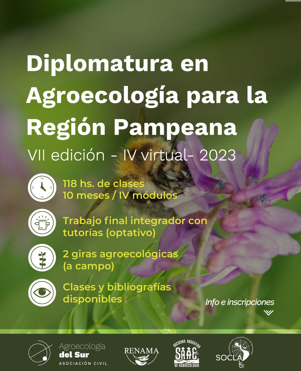 Socla On Twitter 🔔 Inscripciones Abiertas Diplomatura En