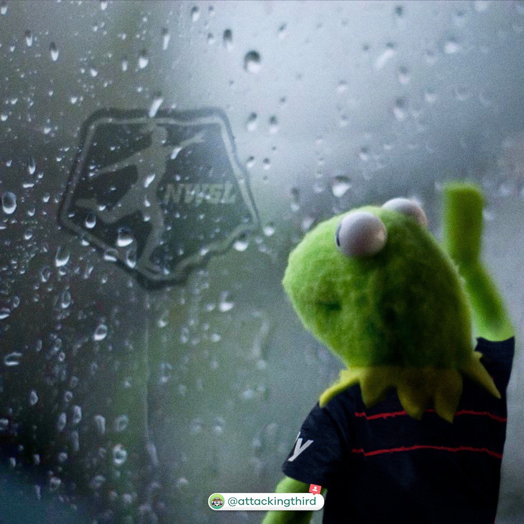 Kermit Looking Out The Rainy Window